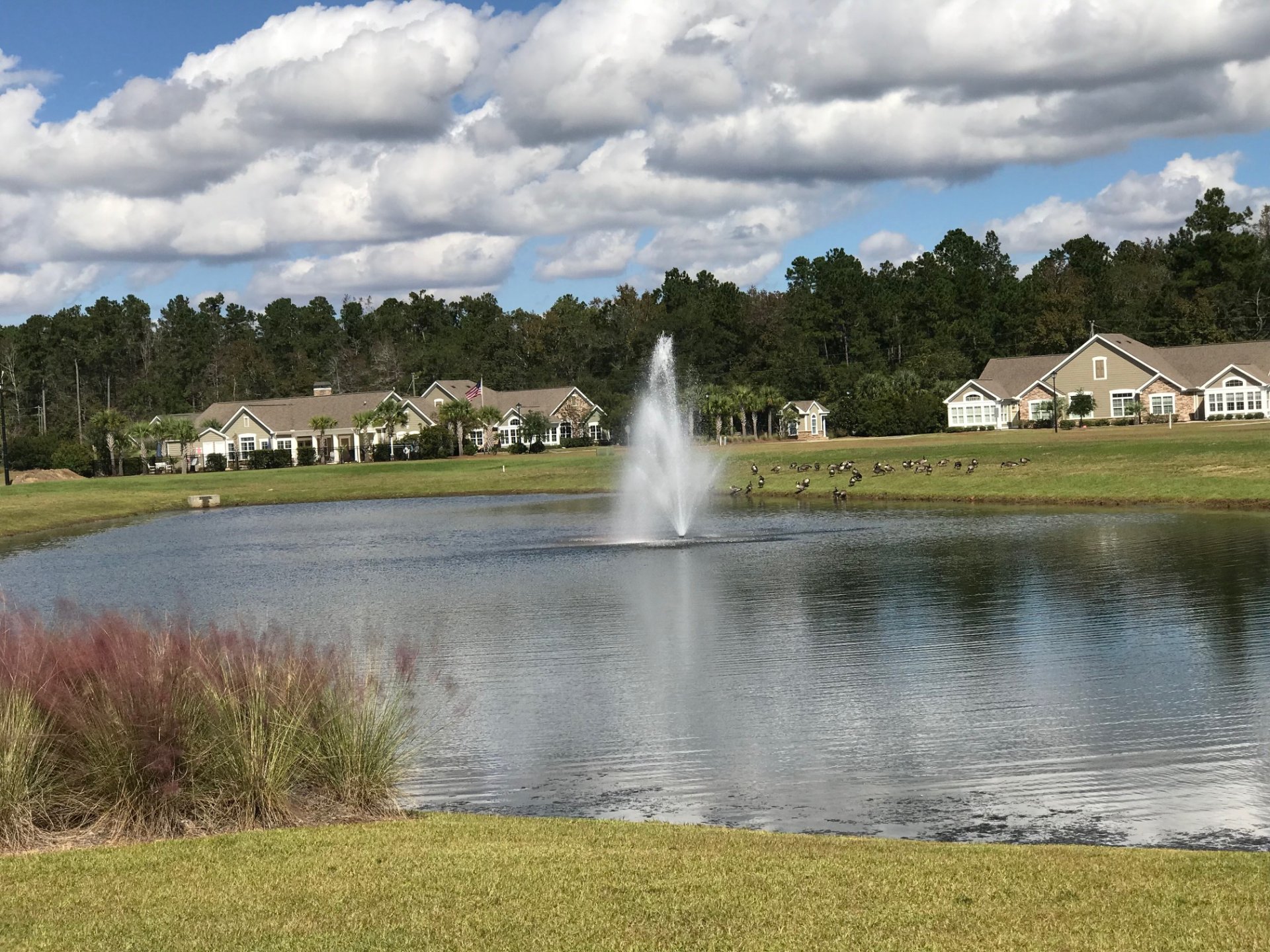 New Developments | Carolina Realty & Associates